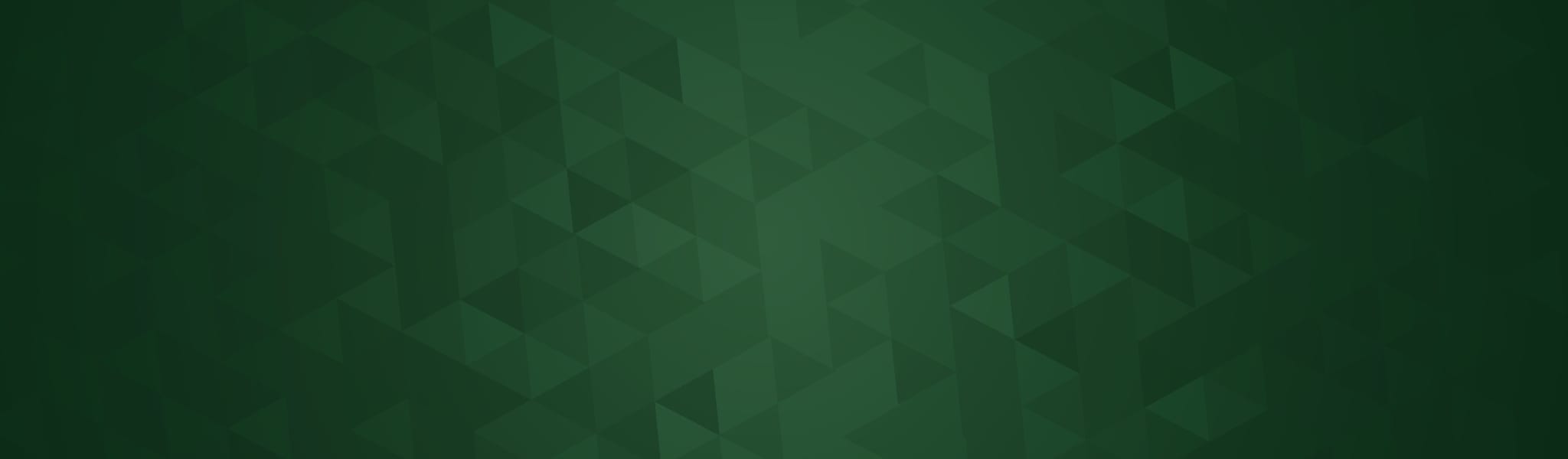 Nicholas Riccardi | Franciscan University of Steubenville